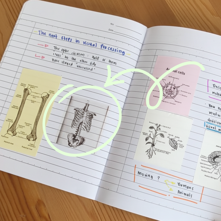 Our Products – Print Pod